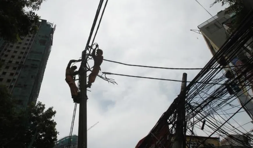 Dorel de Vietnam. Un macaragiu a lăsat în beznă o treime din ţară şi ...