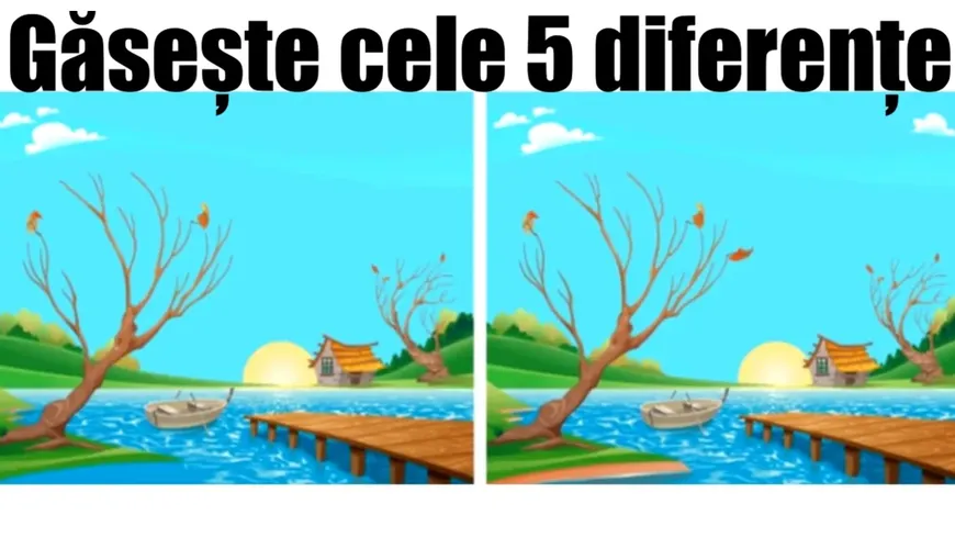 Test de inteligență pentru cei cu IQ ridicat! Găsește cele cinci ...
