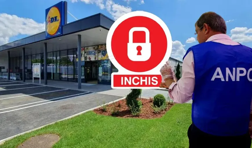 Revoltător! Făină cu excremente de șoarece, pusă la vânzare. ANPC a ...